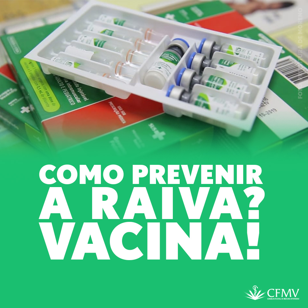 Como prevenir a raiva? Vacina! – CFMV
