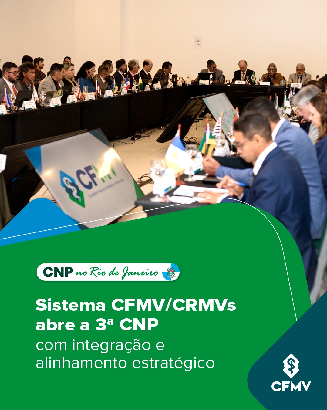 CNP Rio de Janeiro: Sistema CFMV/CRMVs abre a 3ª CNP com integração e ...